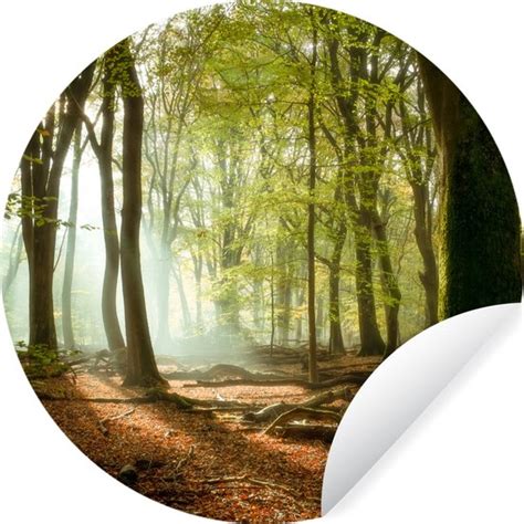 WallCircle Behangcirkel Behangsticker Zon Lucht Gras