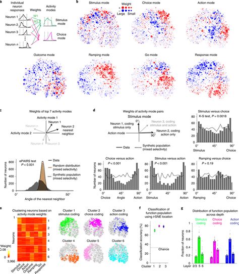 Activity Modes Coding Stimulus Choice And Action Are Supported By