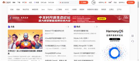 Csdn：中文软件开发者技术交流网站 站长工具网