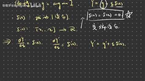 Calculus Of Variations 变分法的基本原理：euler 哔哩哔哩