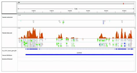 Integrative Genome Viewer Igv Shows Upregulation Of Aborted