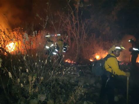 Son Detenidos Cuatro Sujetos Por Provocar Incendios Forestales En
