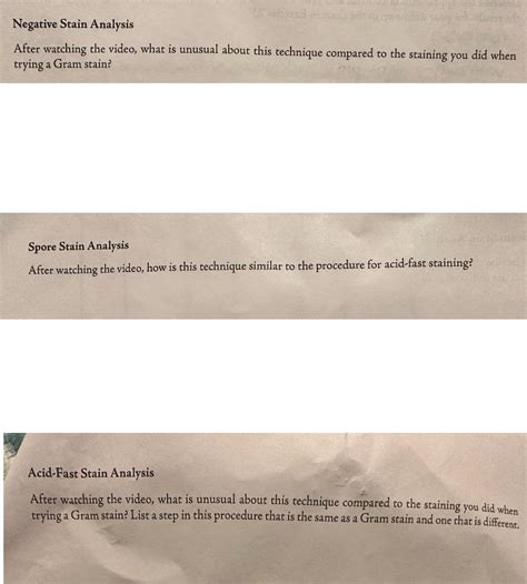 Negative Stain Analysis After Watching The Video Chegg