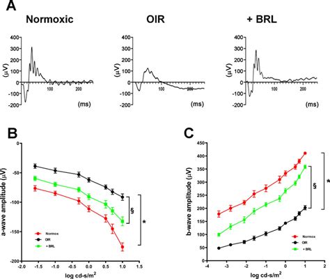 Agonism Of β3 Adrenoceptors Inhibits Pathological Retinal Angiogenesis
