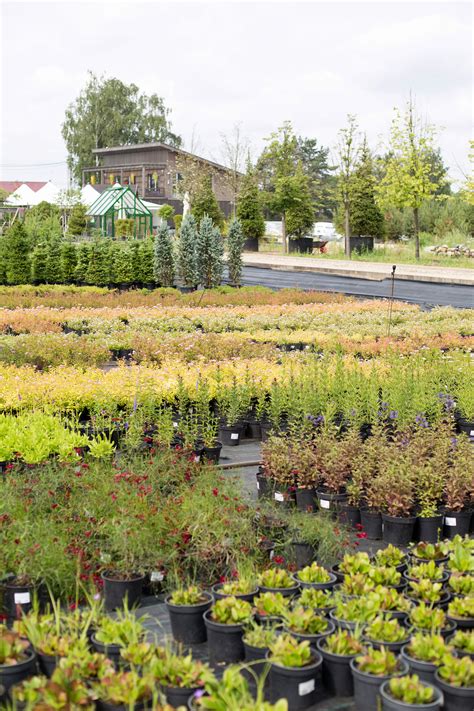 О садовом центре Богородский