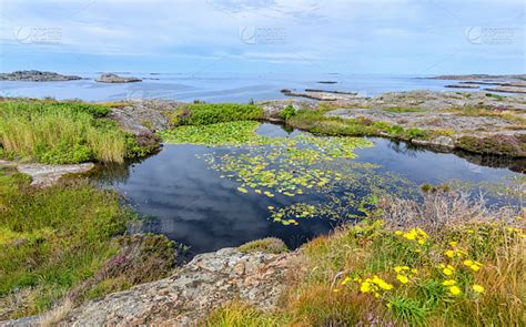 瑞典archipelogo视图