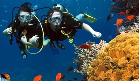Red Sea Scuba Diving On A Budget Tips Tricks Diving In Hurghada