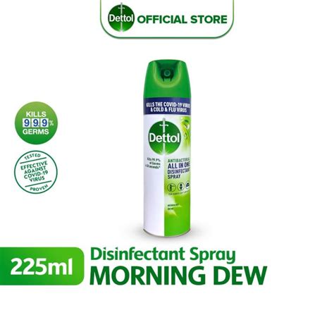 Exp Jun2024feb 2025dettol Antibacterial All In One Disinfectant