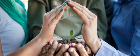 Iso 14001 Diseño E Implementación De Un Sistema De Gestión Ambiental