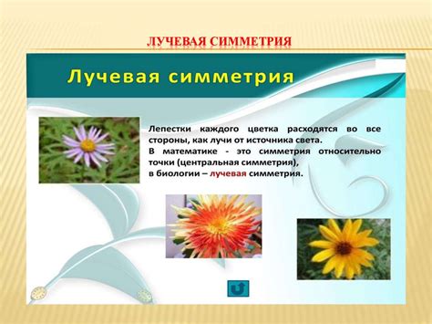 Симметрия в математике Центральная симметрия Осевая симметрия презентация онлайн