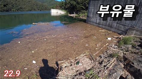 원주짜치 강원도 문막 원주 홍천 배스낚시 Youtube