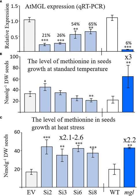 Frontiers Elucidating The Importance Of The Catabolic Enzyme