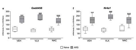 analysis of arc a c fos b npas4 c zif268 d gadd45β e and