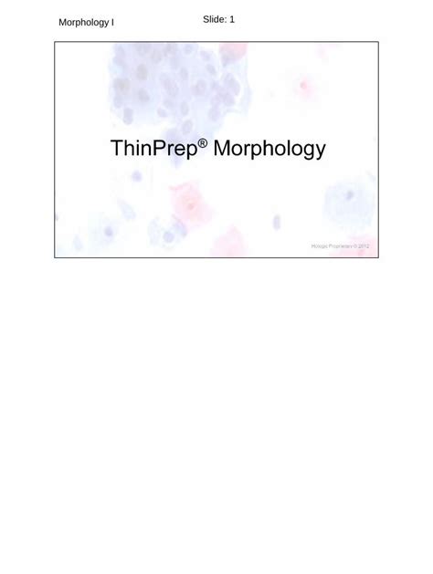 Pdf Thinprep® Morphology Dokumentips