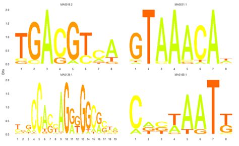 R Ggseqlogo