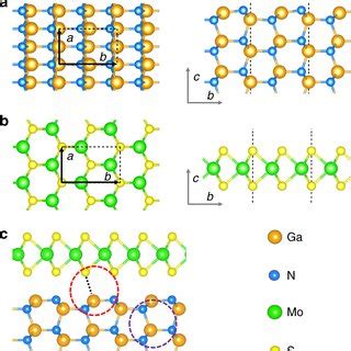 Calculated Atomic Structures Top And Side View Of The Fully Relaxed