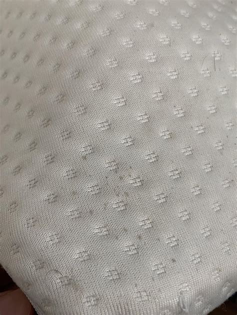 Are These Bedbug Signs Rbedbugs