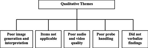 Qualitative Themes That Emerged From Comments By The Expert Raters