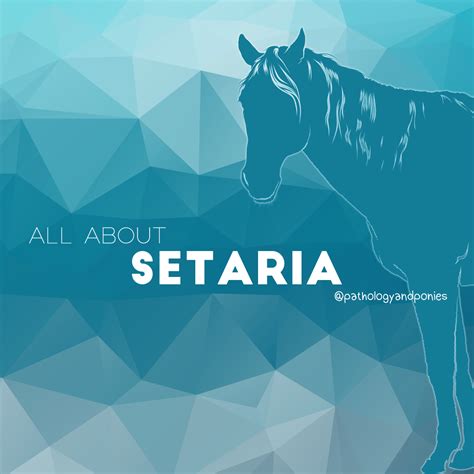Setaria Pathology And Ponies