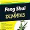 Amazon Feng Shui For Dummies David Daniel Kennedy