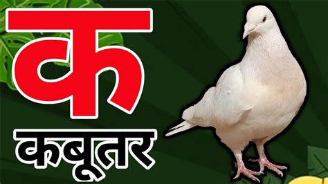 अ स अनर आ स आम अ आ इ ई उ ऊ क स कबतर ख स खरगश कखग हनदसवर