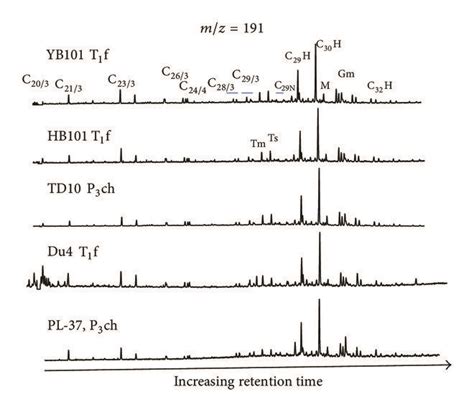 Partial GC MS Chromatograms M Z 191 For Extractable Organic Matter