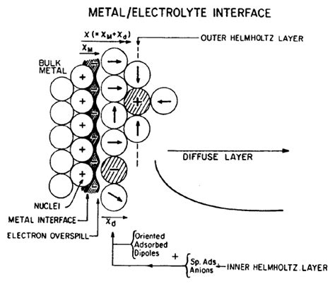 Construction Of The Electrodeelectrolyte Interface Showing Its Surface