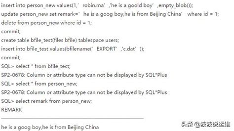 定义blob类型oracle数据库lob大对象数据类型字段总结，值得收藏 Csdn博客