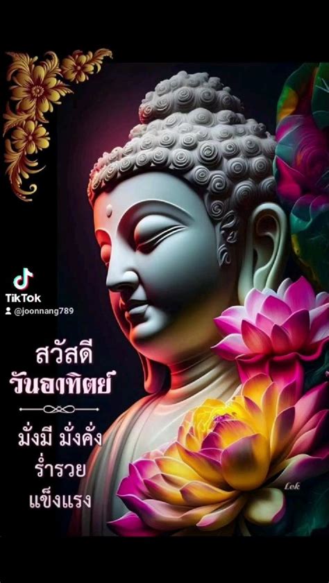 ปักพินโดย 🌾joon224🌾 ใน สวัสดีวันอาทิตย์ขอบคุณเจ้าของภาพค่ะ สุขสันต์วันอาทิตย์ สวัสดีตอนเช้า