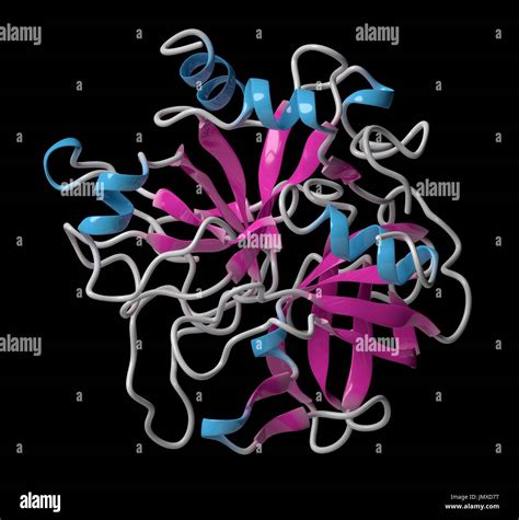 Coagulation Cascade Animation