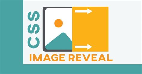 Animated Image Reveal In Pure Css Html Css Image Animation