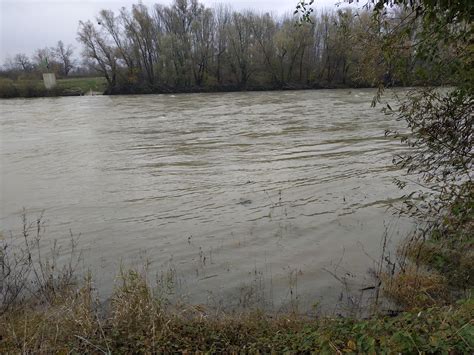 Ribiška Družina Brežice Reka Sava Pod He Brežice