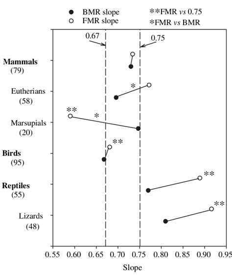 Allometric Scaling Slopes Or B Values From Linear Regressions Of Download Scientific