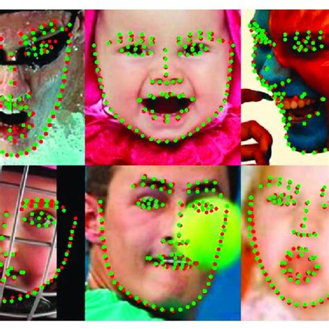Visualized Examples On The WFLW Test Dataset Green Dots Denote