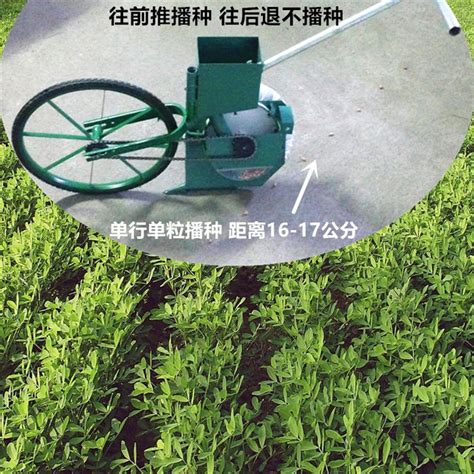 直销第三a代小型玉米播种机单行玉米播种机玉米播种器农业器械 虎窝淘