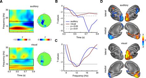 Modality Specific Effects Results Of The Contrast Attend Right Versus