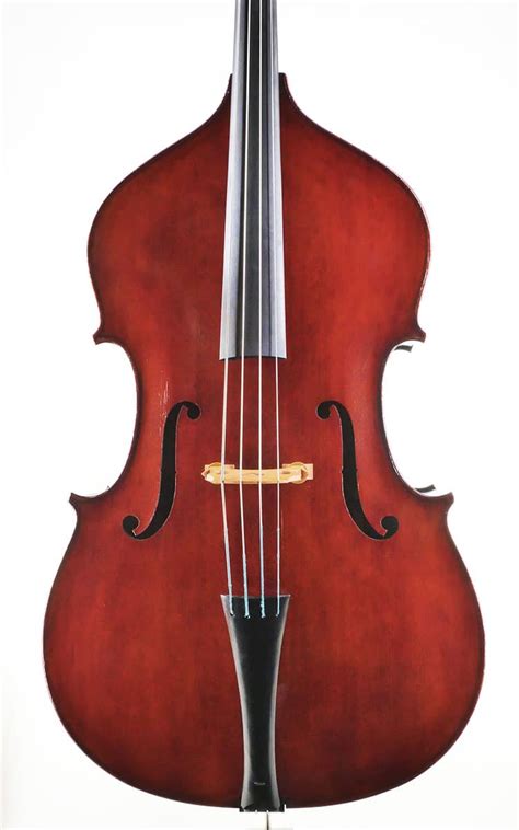Martin 44 Double Bass 2010