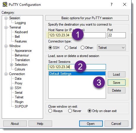 SOCKS Proxy Putty Viptela