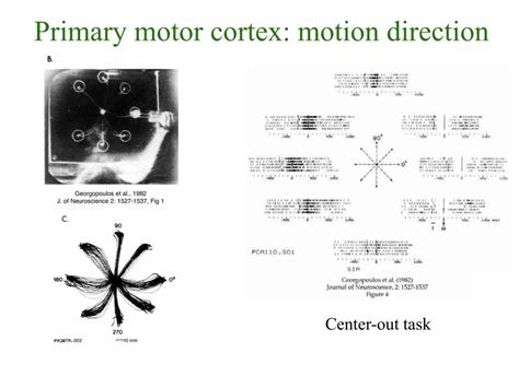 Ppt Decoding Neural Signals For The Control Of Movement Powerpoint