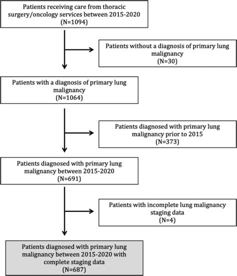 Timeliness Of Lung Cancer Care From The Point Of Suspicious Image At An