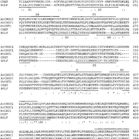 Multiple Amino Acid Sequence Alignment Of Atcngc2 With Several Other