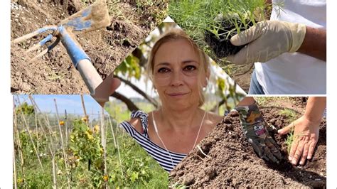 Смяна на сезонните зеленчукови култури Подготовка на лехите Youtube