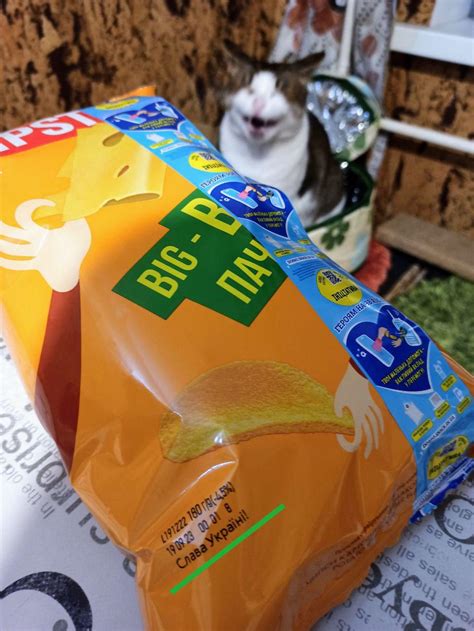 Slava Ukraini Say The Chips Heroyam Slava Says My Scrungy