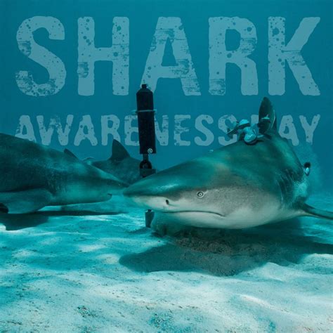 🦈 Today Is Shark Awareness Day So Heres 5 Fascinating Facts You Might