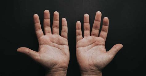 The 10 Usability Heuristics For User Interface Design Reviews Nucleus
