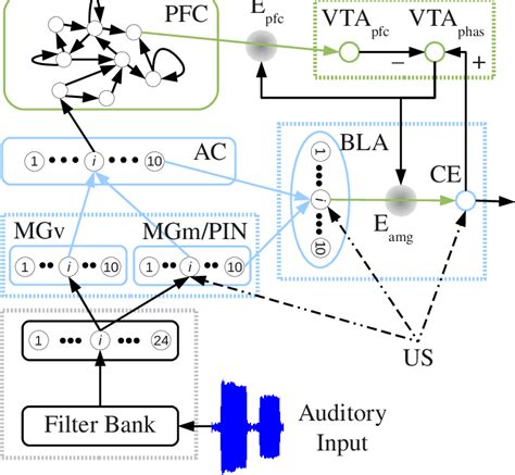 Neural Network Architecture Overview Based On An Echo State Network