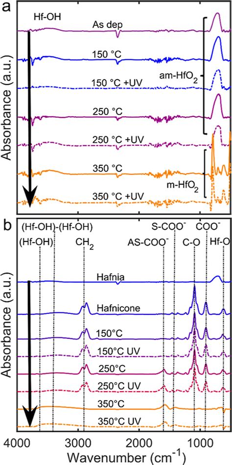 Uv Absorption Peak Uv Spectrum Of Peak Eluting At 19 15 Min Displaying