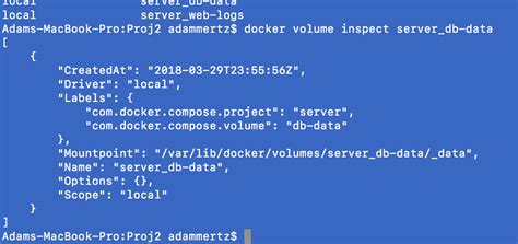 Laravel Docker Volume Usage For Storing  Stack Overflow