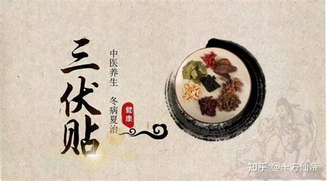 三伏天”需要注意哪些问题 知乎