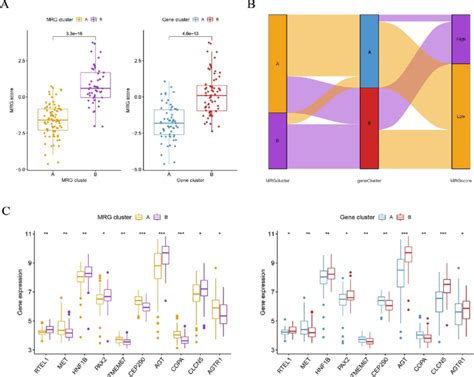 Role Of MRG Patterns In The Identification Of RIF A There Were Download Scientific Diagram